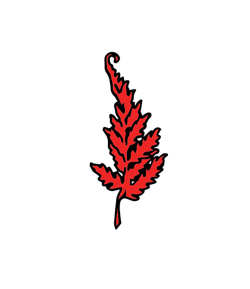 How To Draw A Red Fern